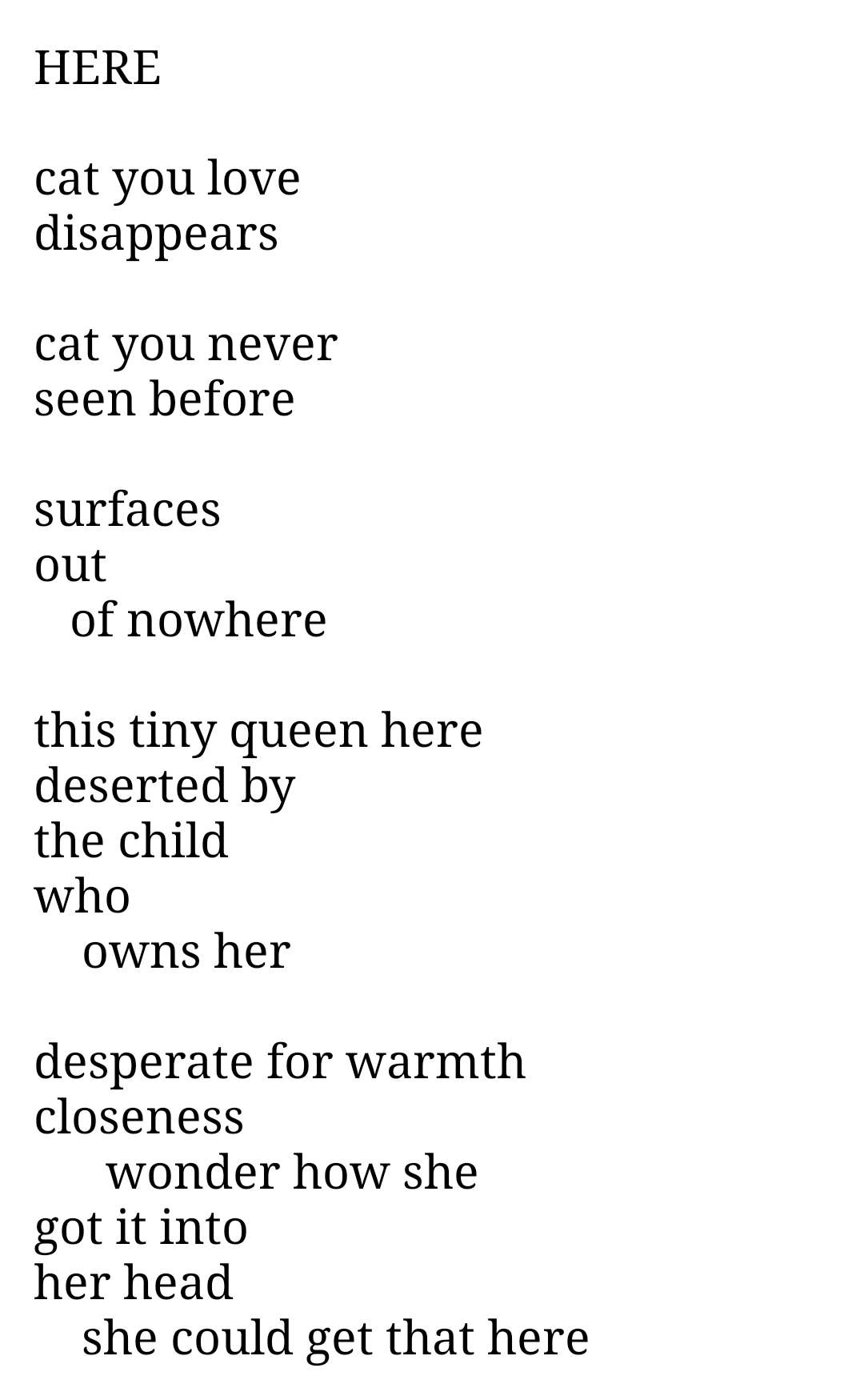 poem, poetry, cat, cat poem – poems 2 die for